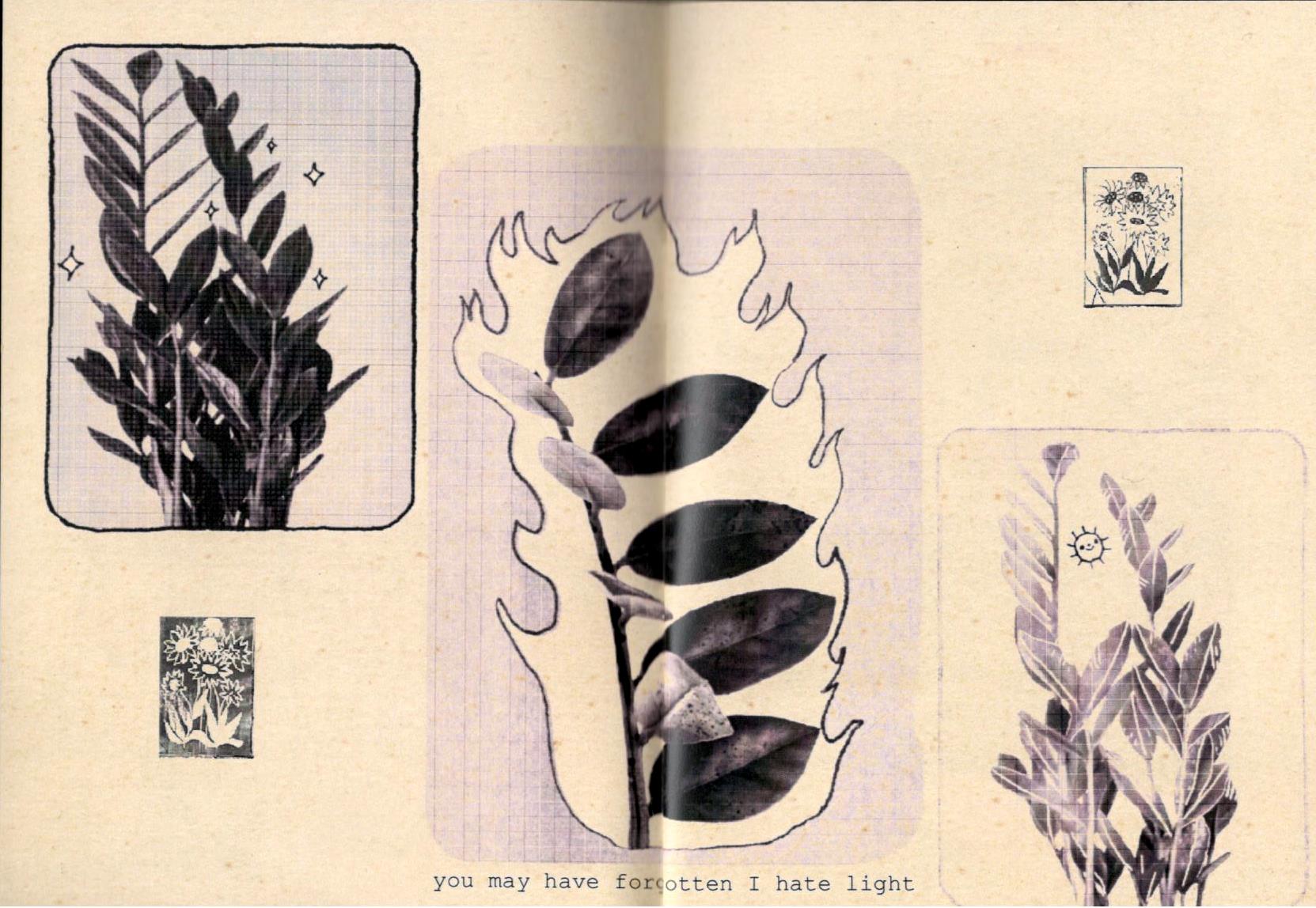 TOUCH-ME-NOT. About sensitive vegetative souls – ISBN+